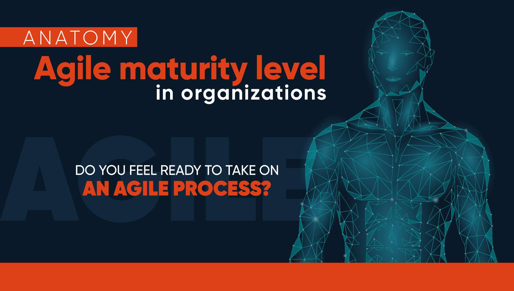 Anatomy: agile maturity level in organizations - Interfaz