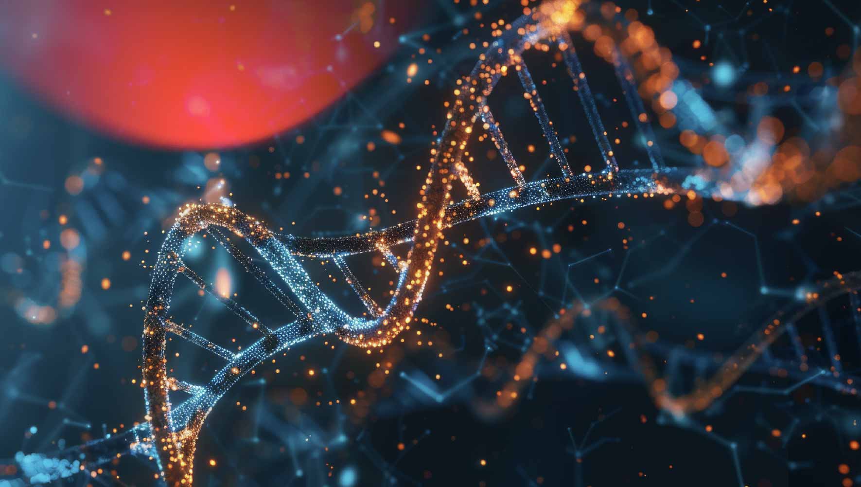 Niche Tech Solutions as a company's competitive advantage - Interfaz